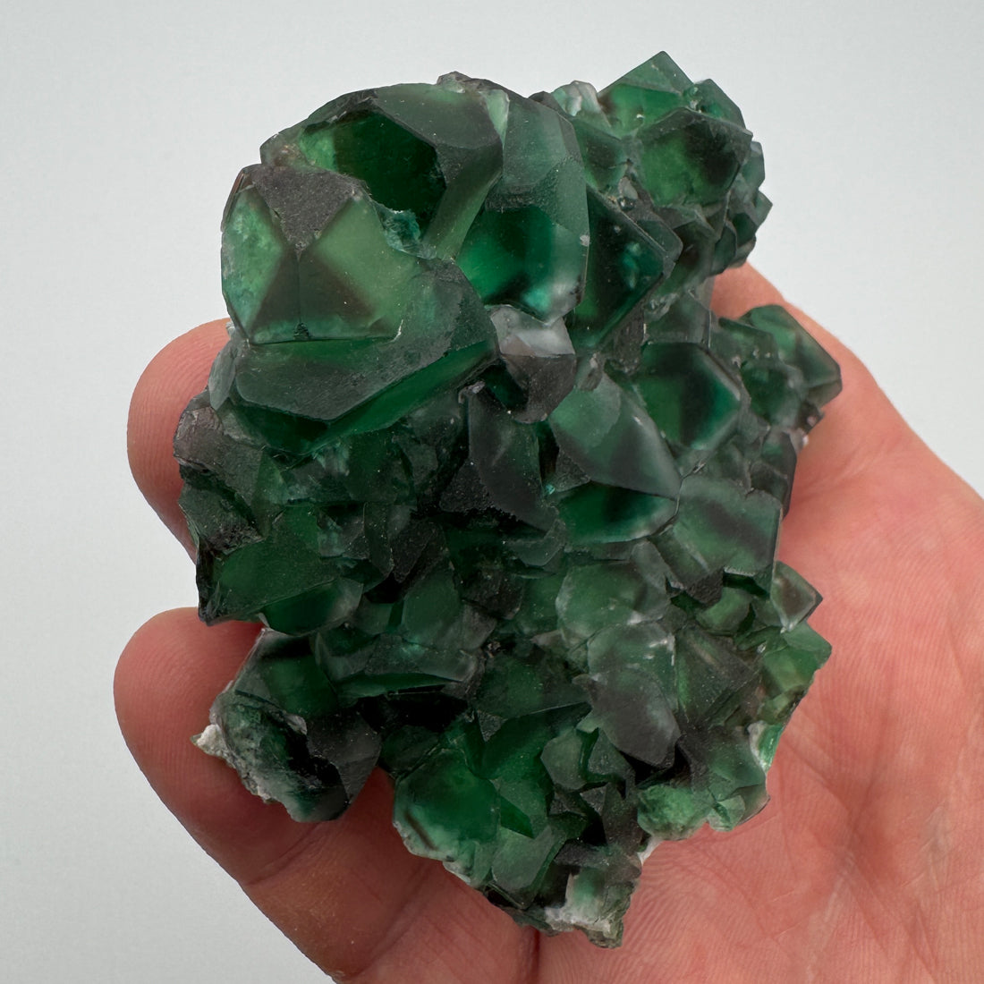 Alien Eye Fluorite (2007 Find) from Erongo Mountains, Namibia For Sale ...