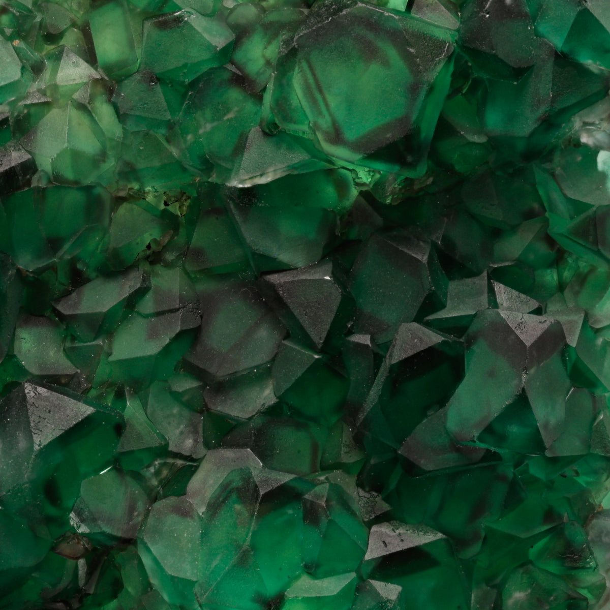 Alien Eye Fluorite (2020 Find) from Erongo Mountains, Namibia For Sale ...