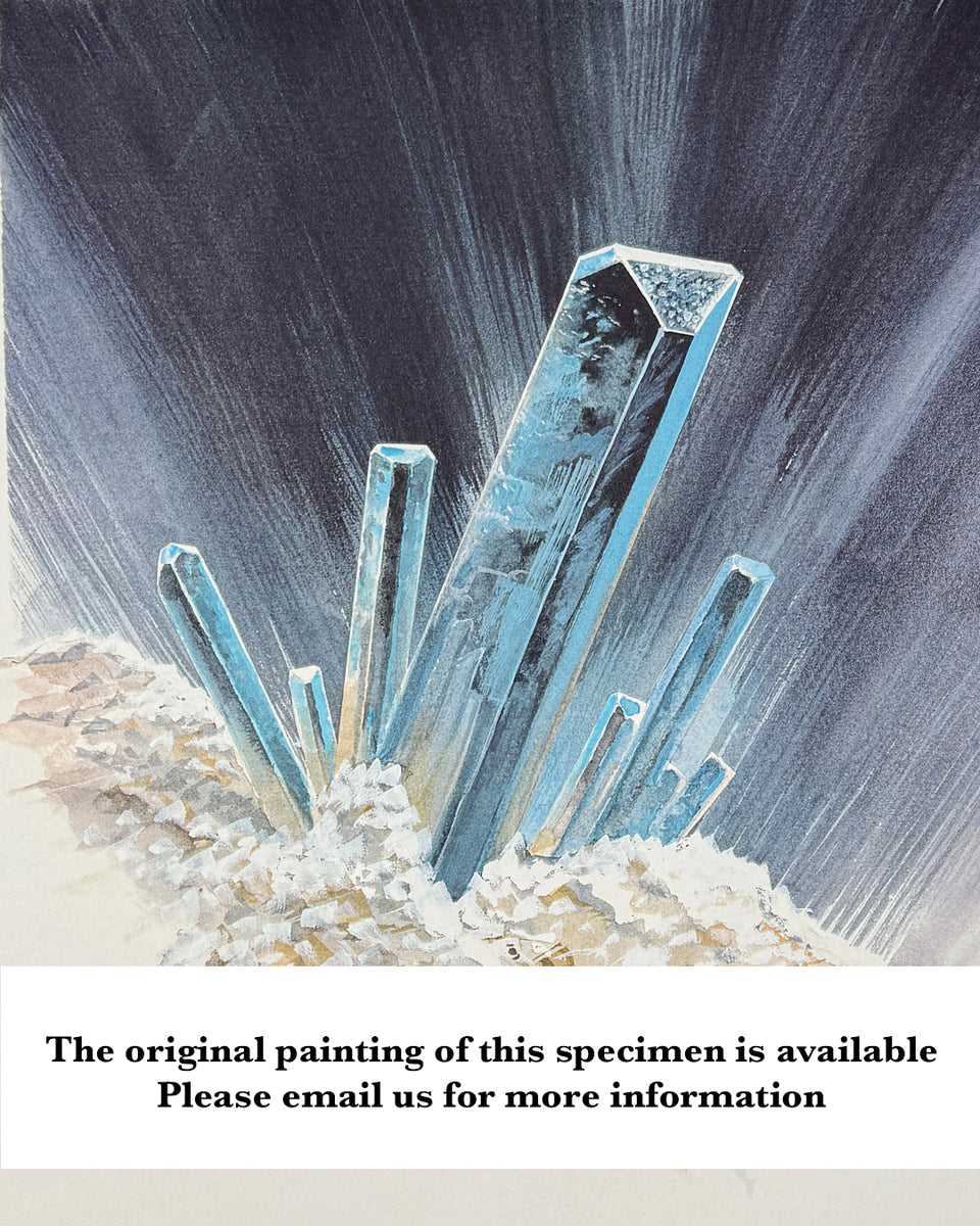 Barite (Colorado) Mineral Specimen Art Print By Fred Wilda For Sale ...
