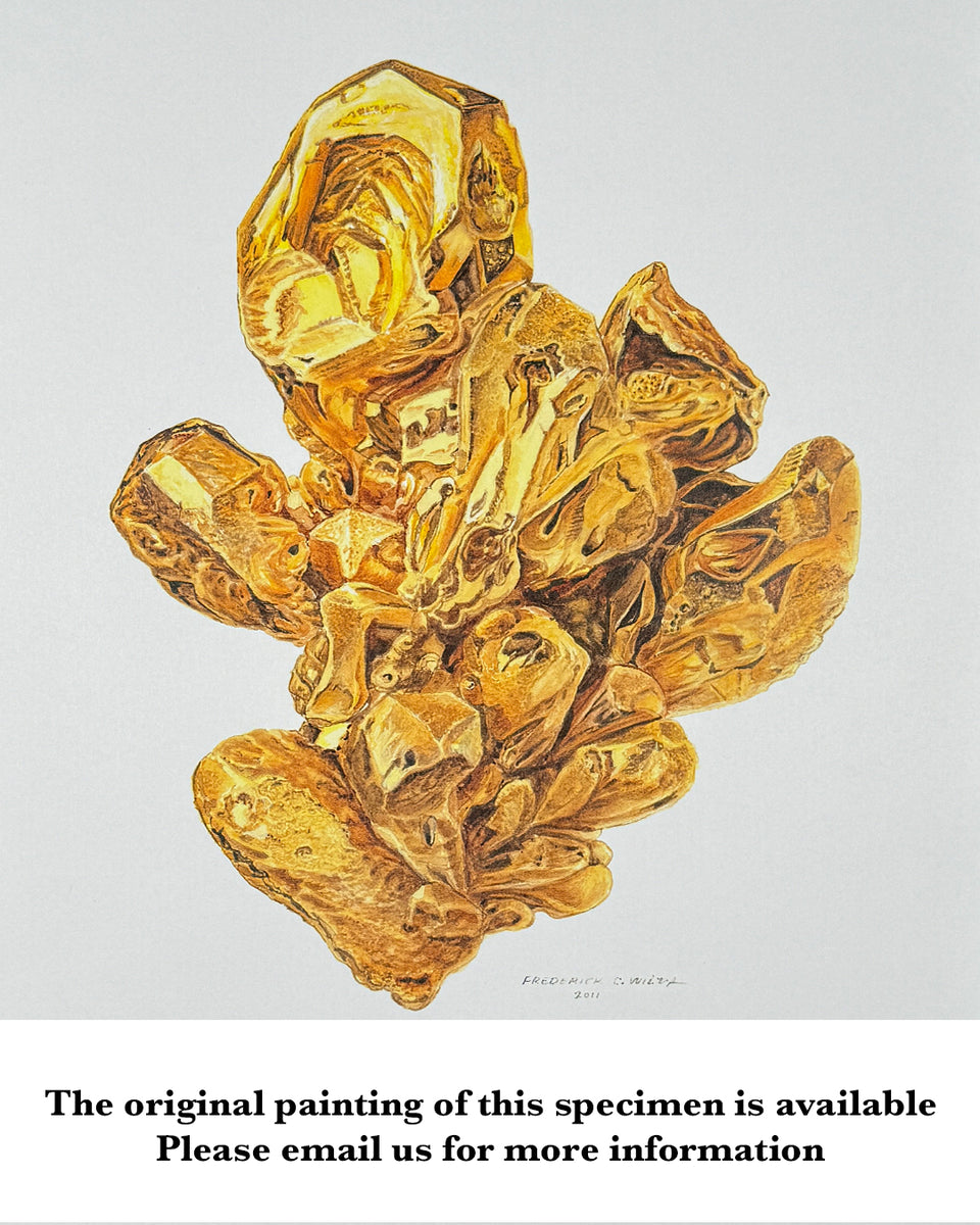 Gold (Venezuela) Mineral Specimen Art Print By Fred Wilda For Sale ...