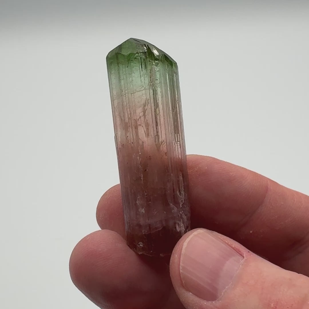 Tourmaline (DR Congo) - Gem Tourmaline Crystal from DR Congo For Sale ...