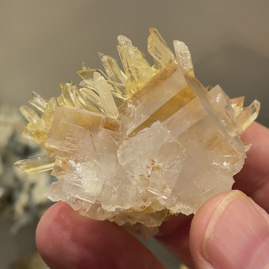 Halite Mineral Specimen From Thuringia, Germany For Sale – Invenio Fine ...